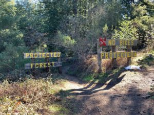 Friends of Joaquin Miller Park
