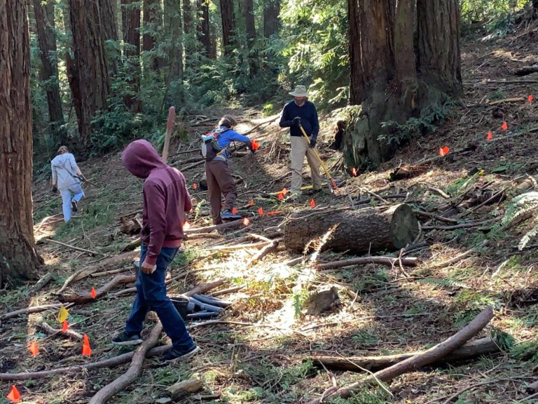 Friends of Joaquin Miller Park